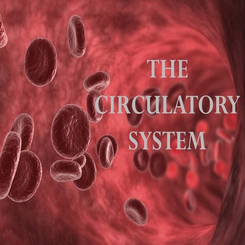 Circulatory system .pptx