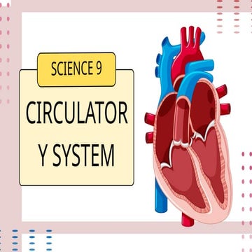 Circulatory system Parts and Function.pptx