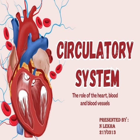 circulatory system.pptx aaaaàaaaaaaaaaaa | PPTX