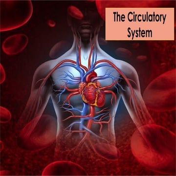 circulatory system power point effective | PPTX
