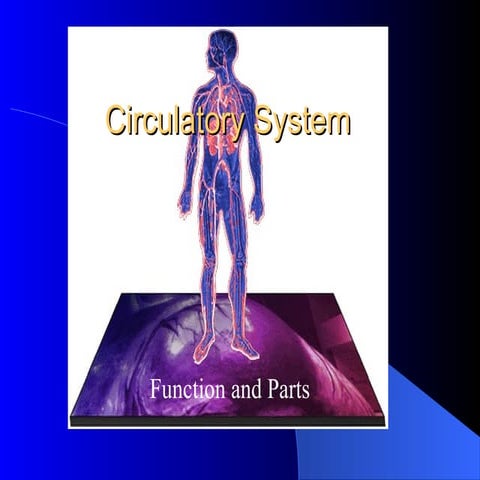 Circulatory system | PPTX