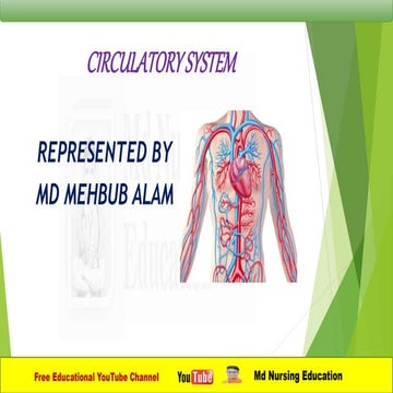 Circulatory system (2).pptx / Cardiovascular system / All About Human Heart | PPTX