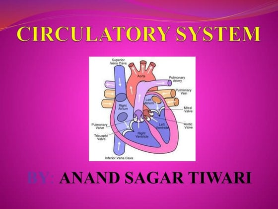 Class 11 project biology prect topic body fluid and circulation | PPTX