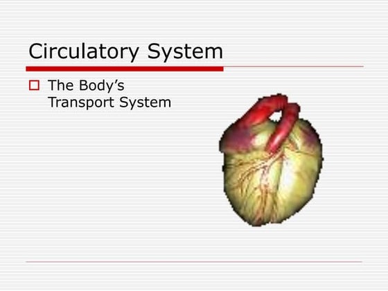 CIRCULATORY SYSTEM_CLASS 10th.pptx