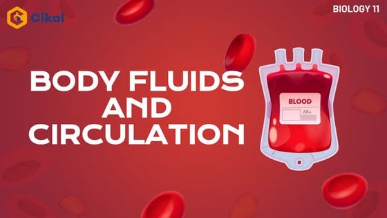 Anatomy-Blood-Lymphatic-System.ppt