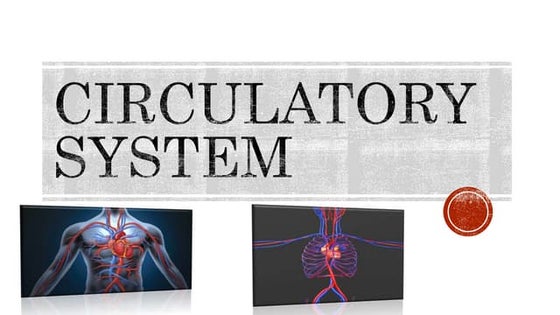 Circulatory System.pptx grade 5 quarter 2 | PPTX | Heart and ...