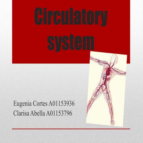 Circulatory System | PPT