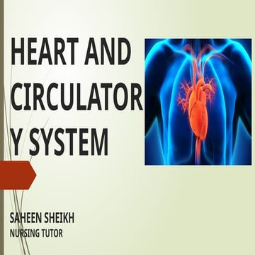 Anatomy of the Cardiovascular system | PPTX