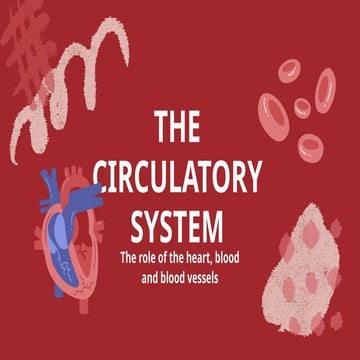 circulatory system and its function.pptx