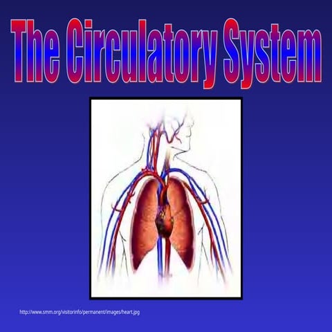 Circulatory system lesson.ppt parts and functions | PPT