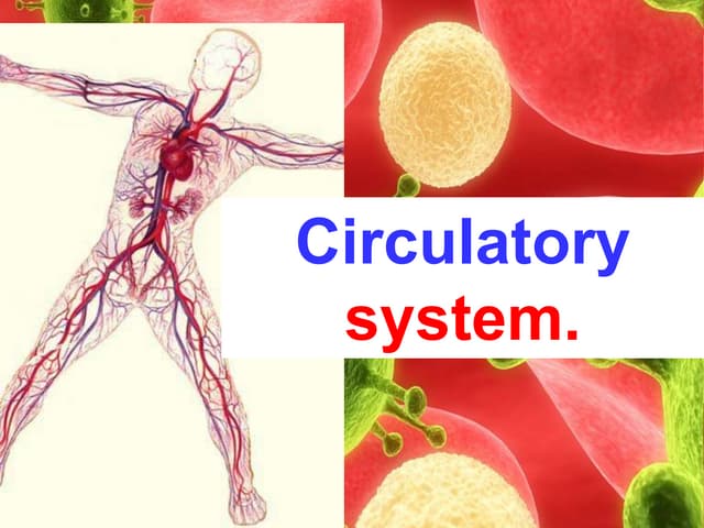 Circulatory System Ppt | PPT