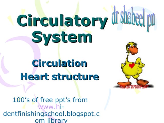 Circulatory System Ppt | PPT