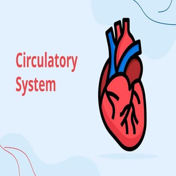 Types of circulation | PPTX