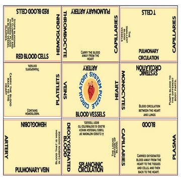Circulatory System [Puzzle].pptx