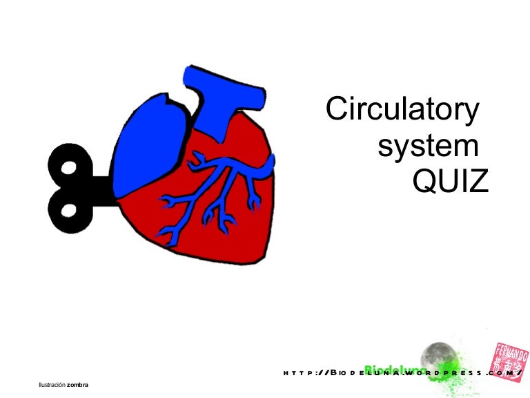 Circulatory system Quiz
