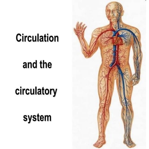 Circulatory system unit two | PPT