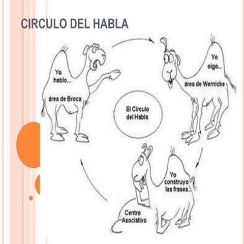 Circulo del habla | PPTX