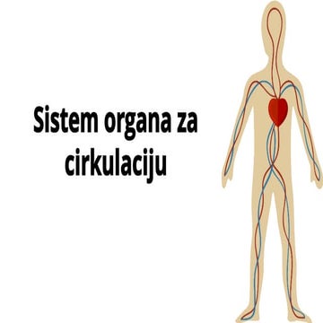 Sistem organa za cirkulaciju ️💜🤎♥️💚🩷💛🤎♥️ ️💜🧡💚🩷💛 | PDF