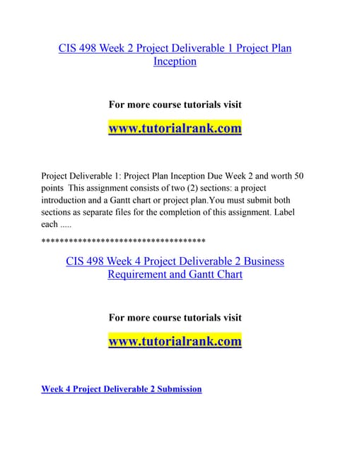 Minor Project Report Format.pdf