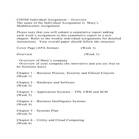 CIS568 Individual Assignment – OverviewThe name of the Individua.docx
