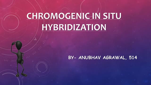 In situ hybridization | PPTX