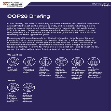 University of Cambridge: COP28 briefing | PDF