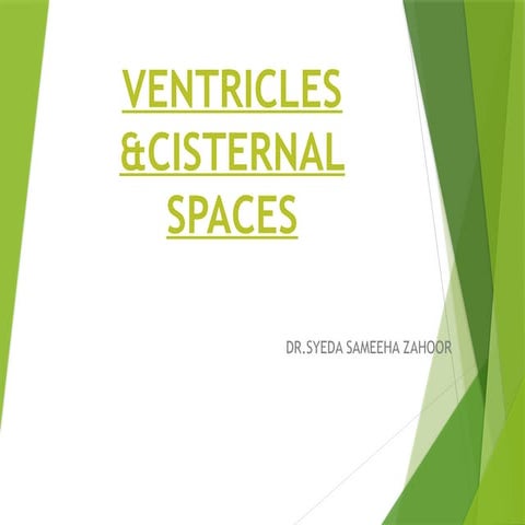 basal cisterns final.ppt