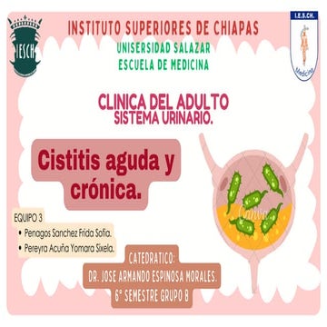 CISTITIS AGUDA Y CRÓNICA clinica del adulto, sistemas urinarios | PDF