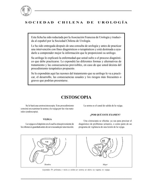Presentacion de urocele en plenario medico | PPT