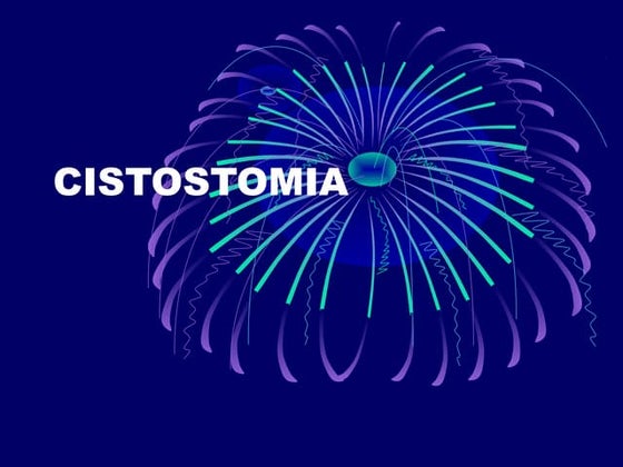 Cistostomia suprapubica | PPT
