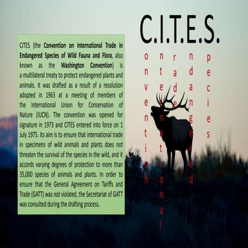 cites-190502225254.pdf