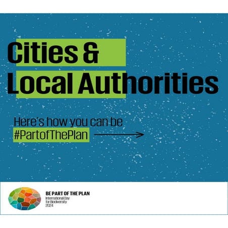 Cities & local authorities, here's how you can act to be part of the ...