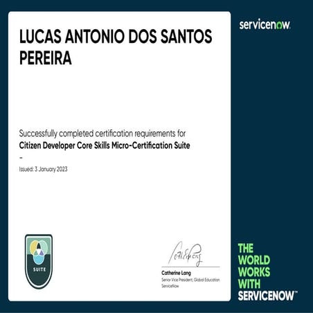 Citizen Developer Core Skills Micro-Certification Suite.pdf
