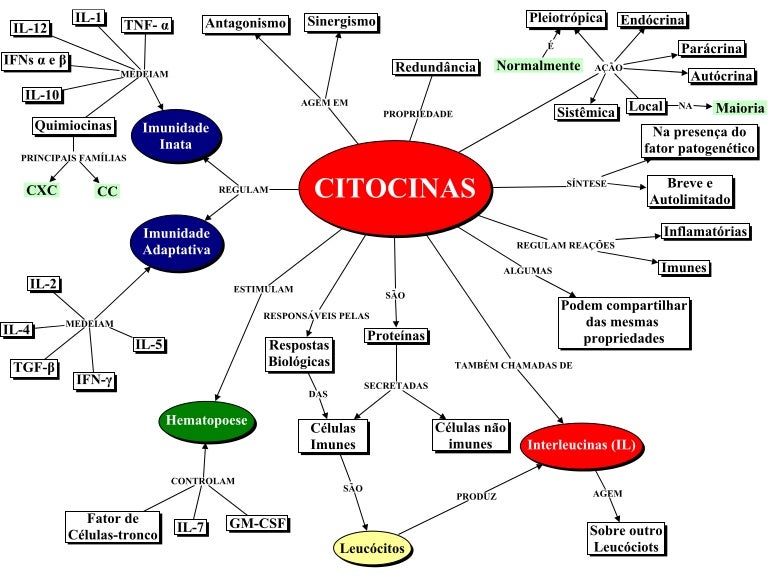 Citocinas