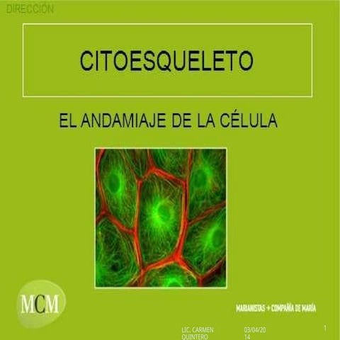 Citoesqueleto | PPTX