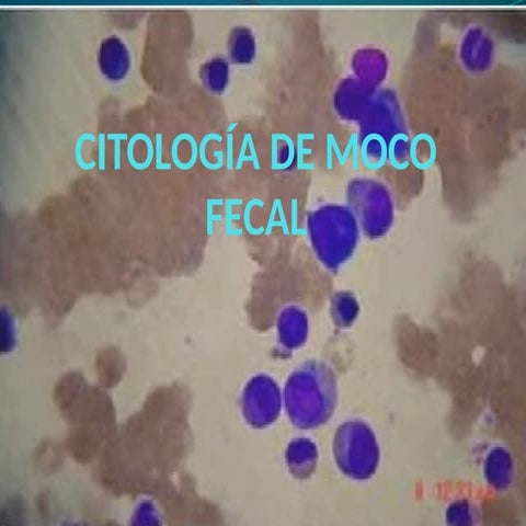 CITOLOGIA DE MOCO FECAL morfologia .pptx