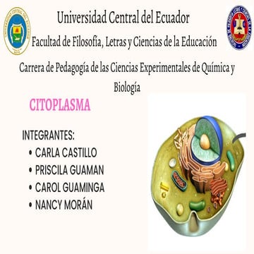 CITOPLASMA | PDF