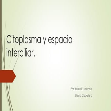 Exposicion Citoplasma y espacio interciliar | PDF