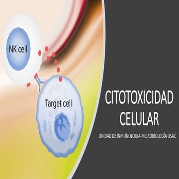 CITOTOXICIDAD CELULAR.pptx