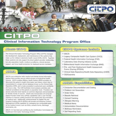 CITPO brochure | PDF