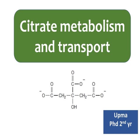 Citrate metabolism | PPTX | Chemistry | Science