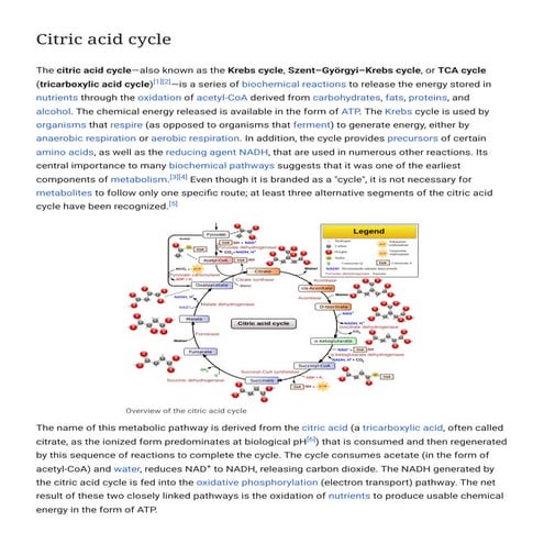 Citric acid cycle - describe by Ganga Kh | PDF