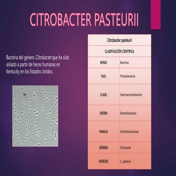 Citrobacter | PPTX