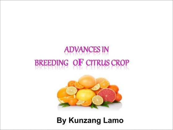 Citrus species | PPT