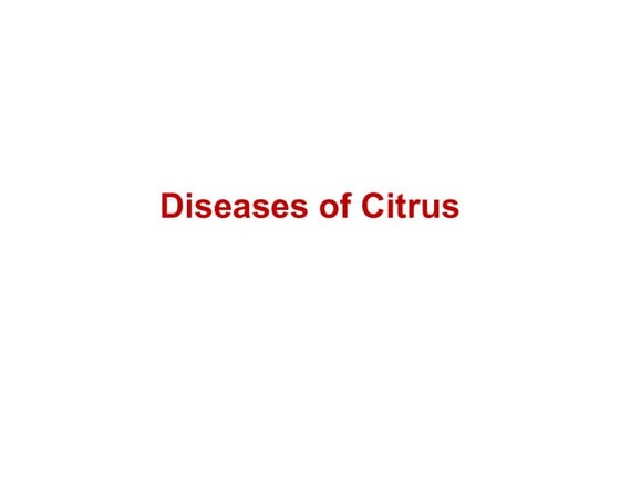 Diseases of Citrus | PPTX