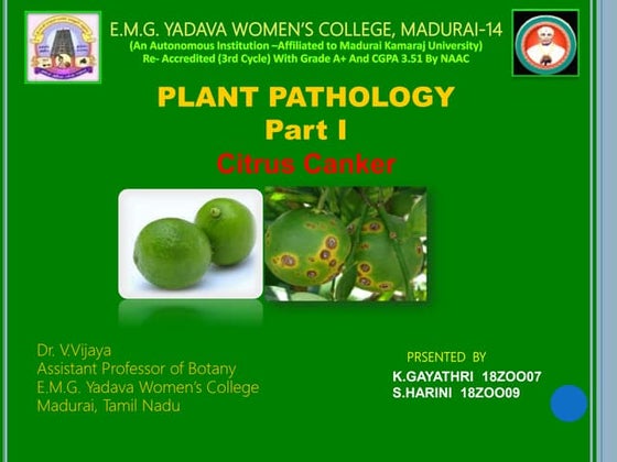 Diseases of Citrus | PPTX