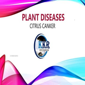 CITRUS CANKER K R.pptx