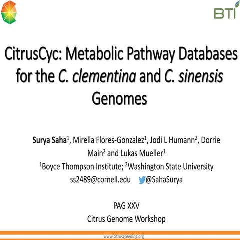 Citruscyc Metabolic Pathway Databases For The C Clementina And C