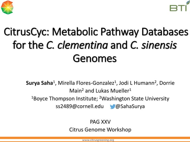 Citruscyc Metabolic Pathway Databases For The C Clementina And C