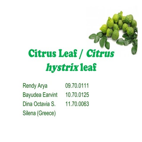 Citrus leaf | PPT